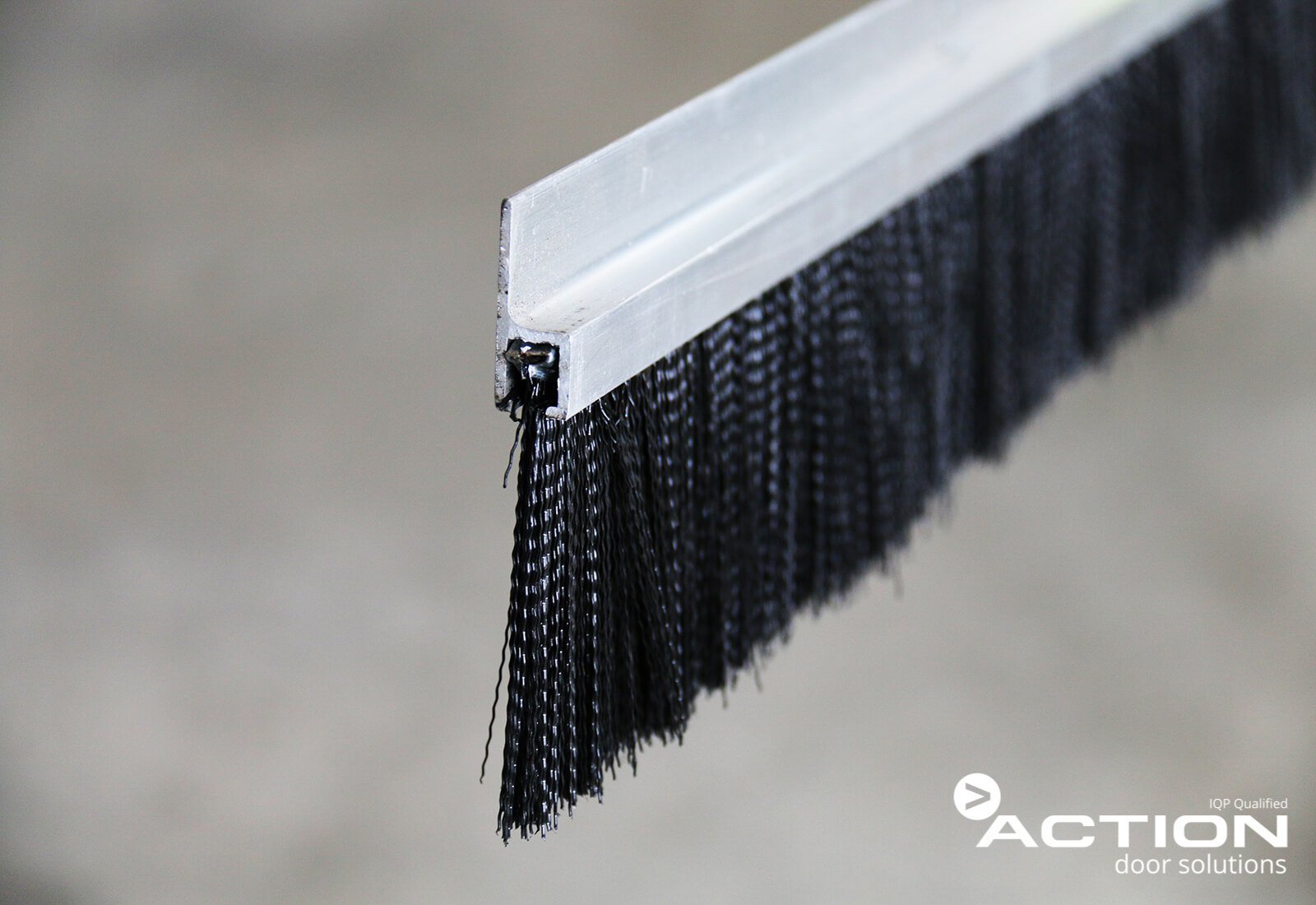 Bird Brush | Action Door Solutions