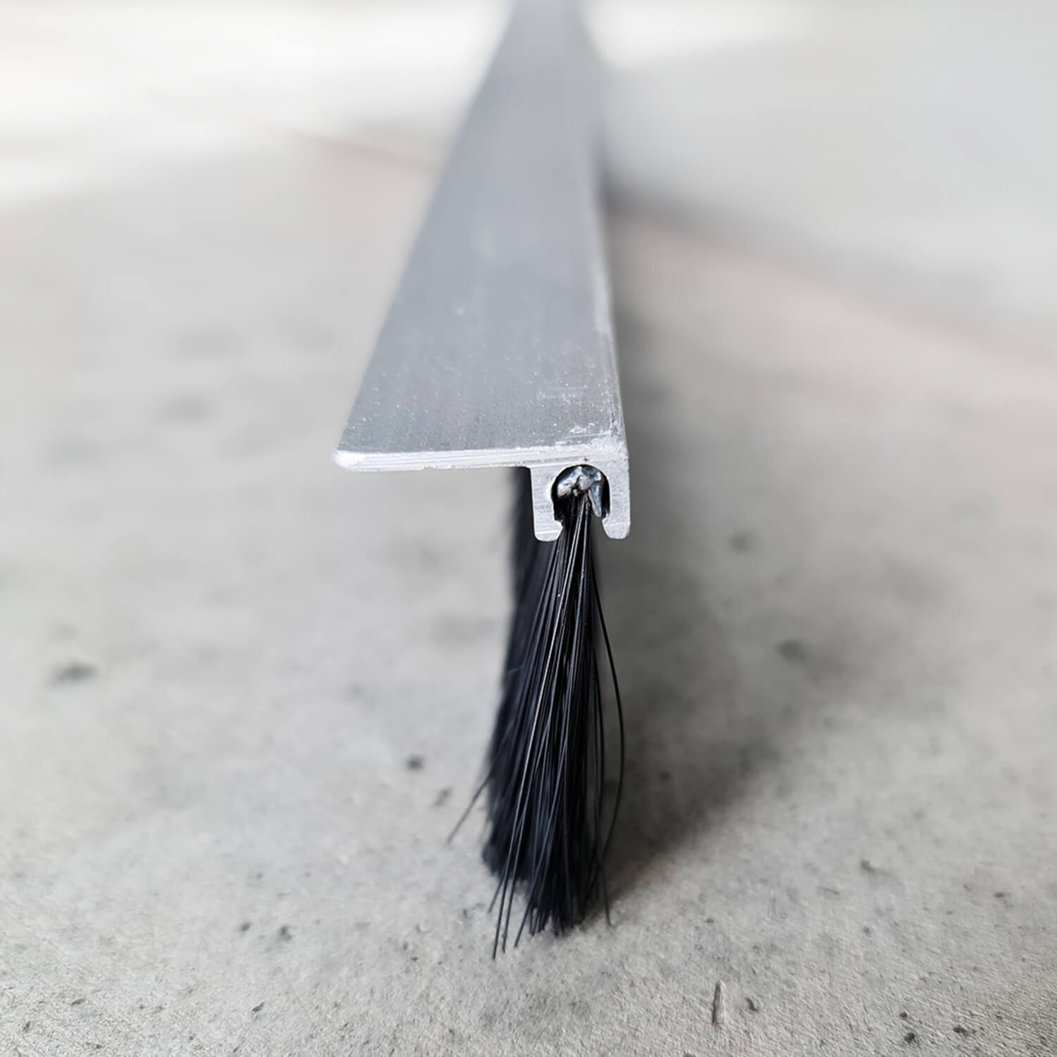 Bird Brush 🦅 | Action Door Solutions